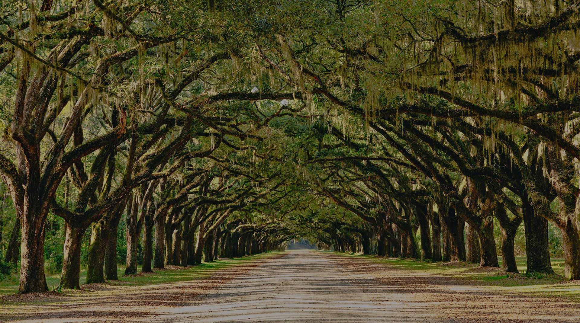 Baton Rouge Estate Planning Lawyer | Law Office of Wendra J. Moran